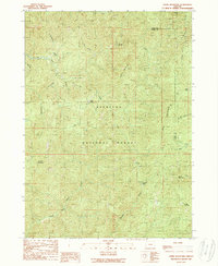 Hi-Res Interactive Map of Ophir Mountain, Curry County, OR in 1989 | Pastmaps